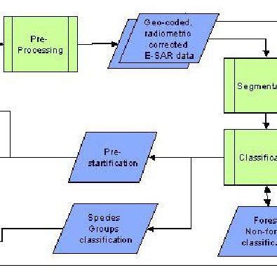Flowchart Of The SAR Processing Download Scientific Diagram