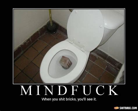 Stupid People Doing Stupid Things Photos Stupid Images