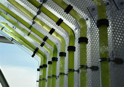 Premium Translucent Polycarbonate Panels Used In Architecture Moxie Surfaces