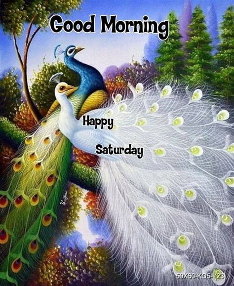 45 Good Morning Peacock Images Good Morning Wishes