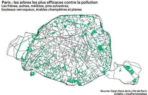 «forêts Urbaines à Paris Une Bonne Idée Mais Beaucoup De Pièges à