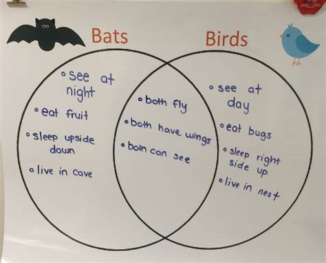 Compare And Contrast Venn Diagram Activity Contrast Venn Sli