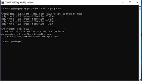 Ping Command Network Diagnostics In Windows IONOS