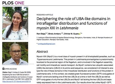 Institute Of Bioinformatics And Applied Biotechnology Ibab On Linkedin Ibab Ibabbengaluru