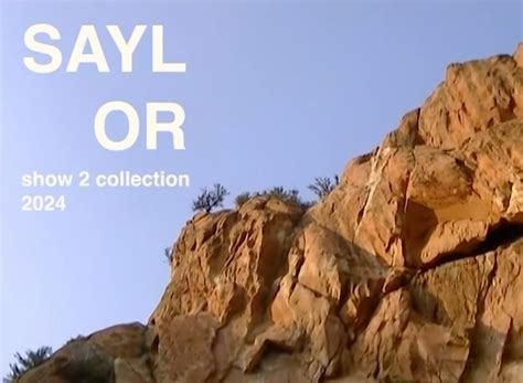 Saylor Andersen Saylordesigns • Instagram Photos And Videos