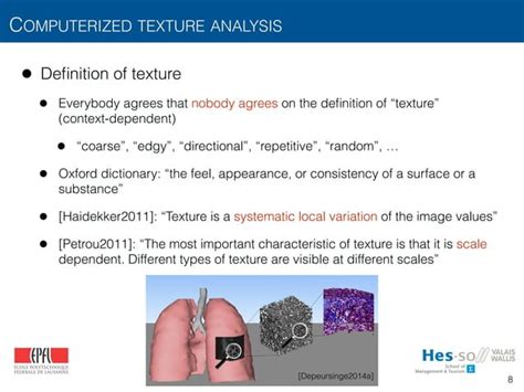 Fundamentals Of Texture Processing For Biomedical Image Analysis Pdf 3 D Graphics Computer