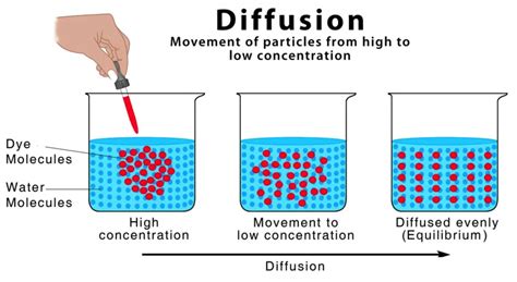 带你理解dit的实质（diffusion Transformer） 知乎
