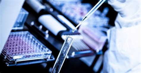 Creative Biolabs Harnesses Library Based Antibody Discovery Scientist