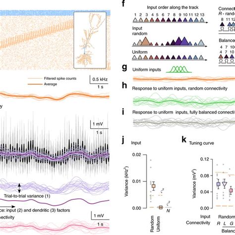 Larger Synaptic Clusters Can Lead To Clustering Based Tuning Source