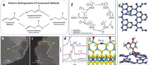 Homogeneity Of Supported Single‐atom Active Sites Boosting The Selective Catalytic