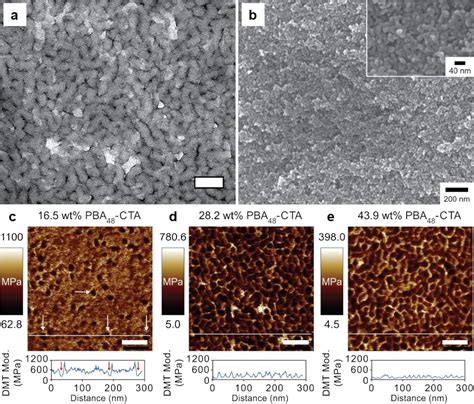 Polymerization Induced Microphase Separation For The Fabrication Of Nanostructured Materials