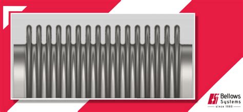 What Is The Pitch Of Convolution In Bellows Terminology Bellows Systems