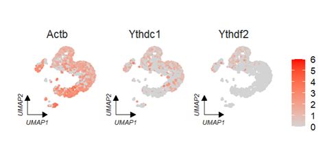 ScRNAtoolVis Version Documentation Junjunlab ScRNAtoolVis GitHub Wiki