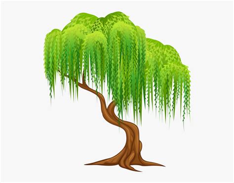 Weeping Willow Tree Drawing Skill