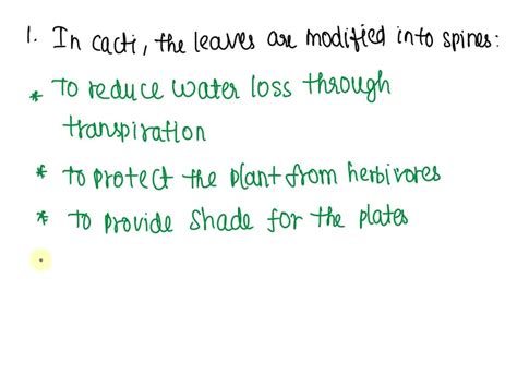 Solved Answer The Following Questions Below 1 In Cacti The Leaves Are Modified Into Spines