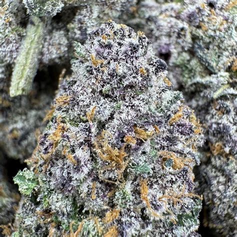 Space Candy The Herb Centre