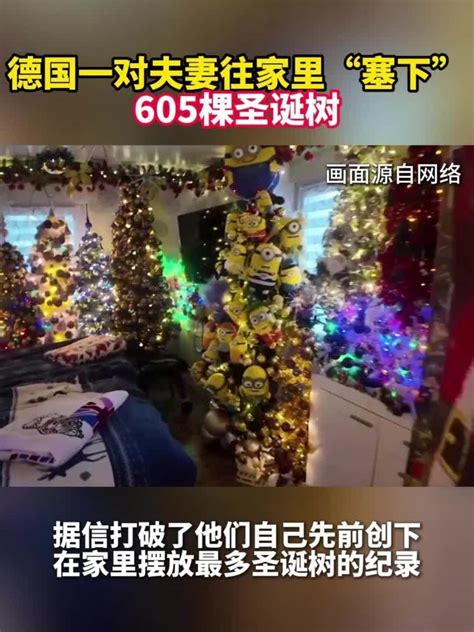 德国一对夫妻往家里“塞下”605棵圣诞树凤凰网视频凤凰网