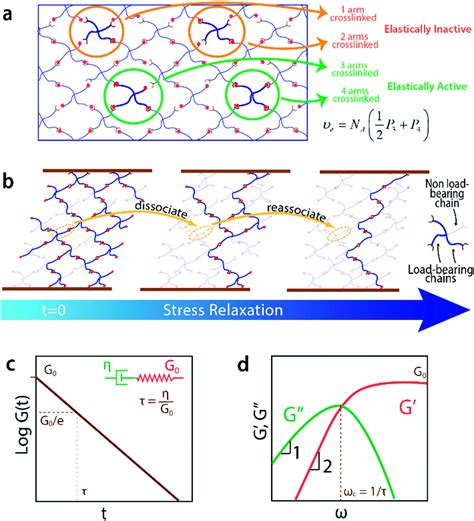 Ideal Reversible Polymer Networks Soft Matter Rsc Publishing Doi10