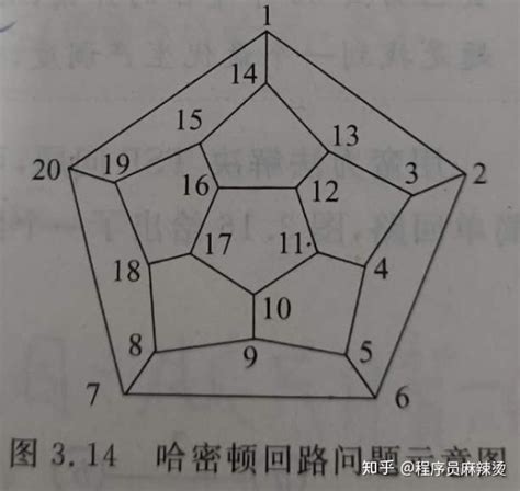 蛮力法 知乎