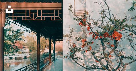 낮 동안 흰색 콘크리트 건물 근처의 갈색과 빨간색 잎 나무 사진 Unsplash의 무료 베이징 이미지