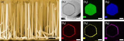 a scanning electron microscopy image of gaas srtio3 core shell