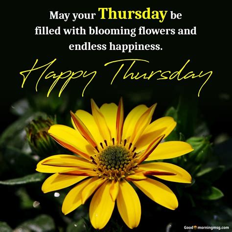 70 Good Morning Thursday Flowers Images