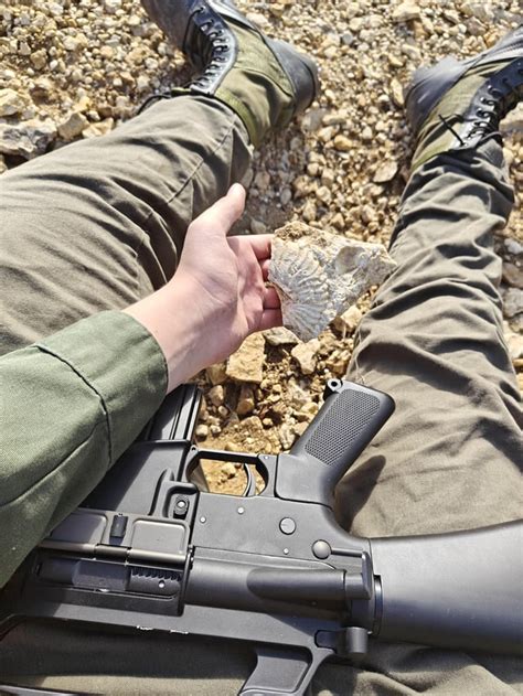 Is This An Ammonite R Fossilid