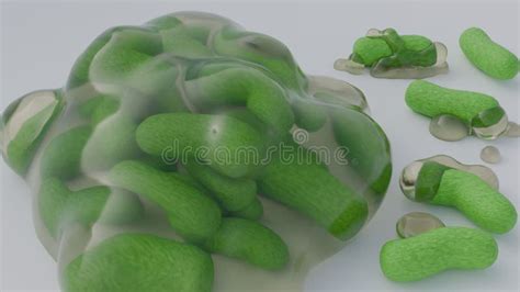 Group Of Bacteria Inside Of Extracellular Polymeric Substance Forms The Biofilm Stock