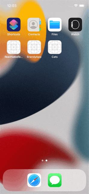 How To Add A Splash Screen To A React Native App The Easy Way DEV Community