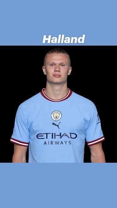 Halland Is A Robot Flautas