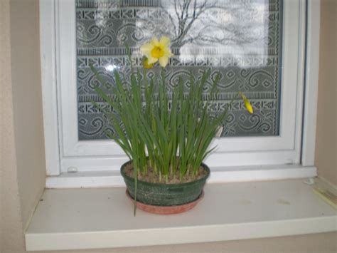 Mes Fl11  Free Image Hosting Service