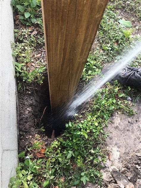 Diy String Light Planters Artofit