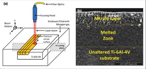 Laser Nitriding A Schematic Of Process And B Cross Sectional Sem Download Scientific