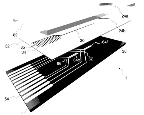 Microfluidic Chip With Dielectrophoretic Electrodes Extending In