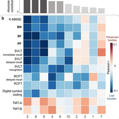 Stroke Lesion Atoms Are Ranked From Strongest To Weakest Associations