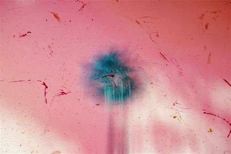 Interlay A Fascinating Comprehensive Guide Dotcom Magazine Influencers And Entrepreneurs