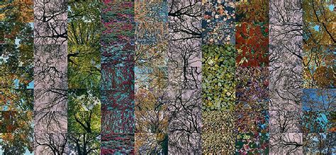 Sharon Elphick Autumn Mosaic Detail Rosenstiels Art