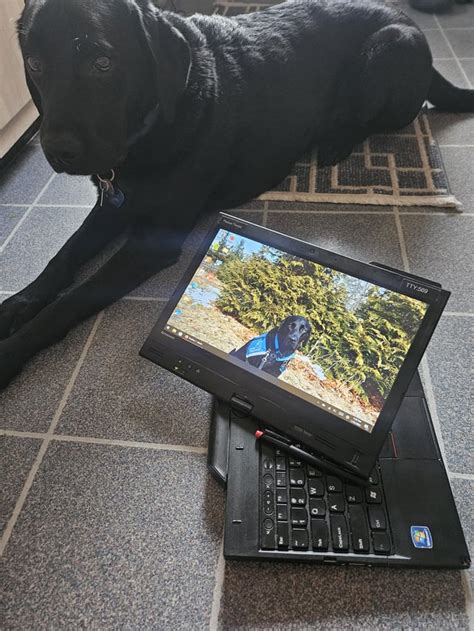 New Thinkpad Who Dis R Thinkpad