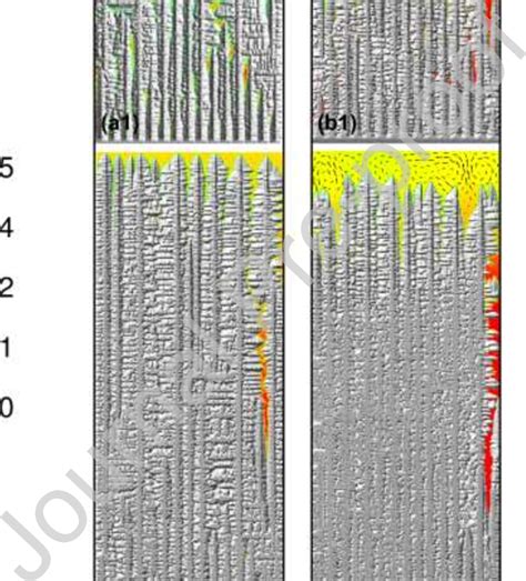 Effects Of The Temperature Gradient On The Solute Profile And Dendritic