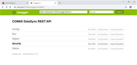 Accessing Swagger Page
