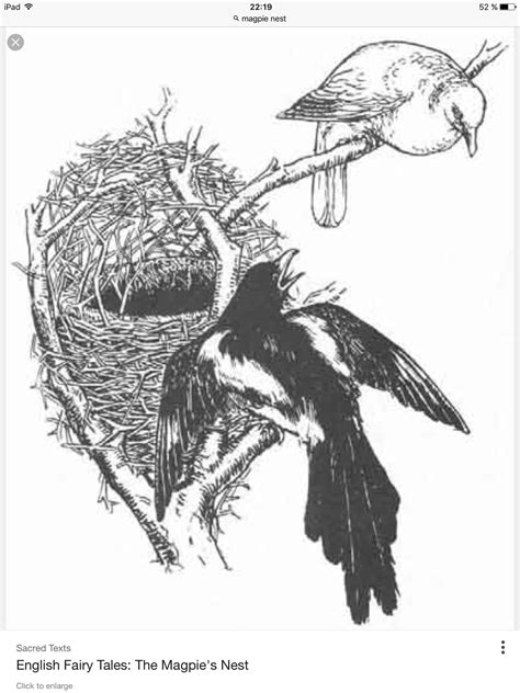 Гнездо вороны рисунок 71 фото