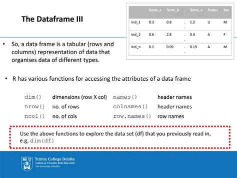 Statistical Programming Using The R Language Ppt Download
