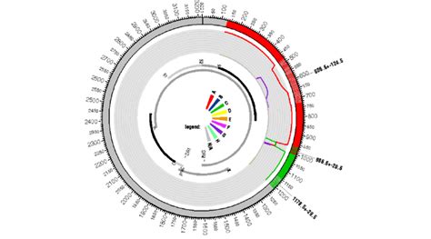 Graphical Representation Of Predicted Recombination Plot Using Jphmm