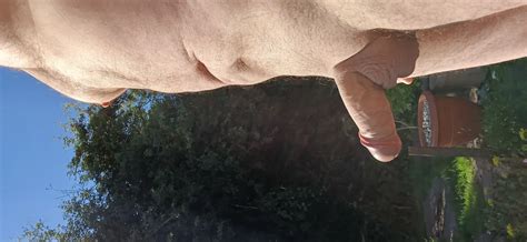 Early Sun Pics XHamster