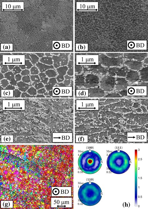 Alsi10mg Sem Se Micrographs In The As Built Condition A C In The Download Scientific Diagram