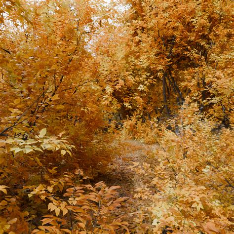 Glow Blender 4 0 Finished Projects Blender Artists Community