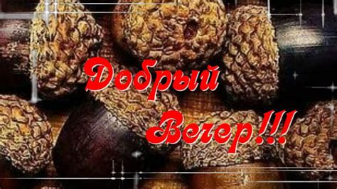 💛💛💛Добрый Вечер Милые Друзья Всем Отличного Настроения Youtube