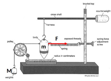 Physics Lab Quiz Flashcards Quizlet Physics Lab Quiz Flashcards Quizlet
