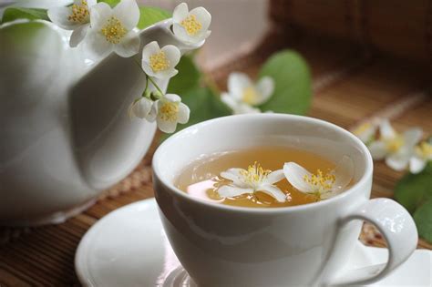 The Best Jasmine Tea Brands Of 2023 Rblogs