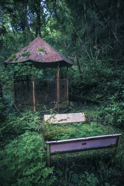 Abandoned Playground In Forest 02 Tumbex
